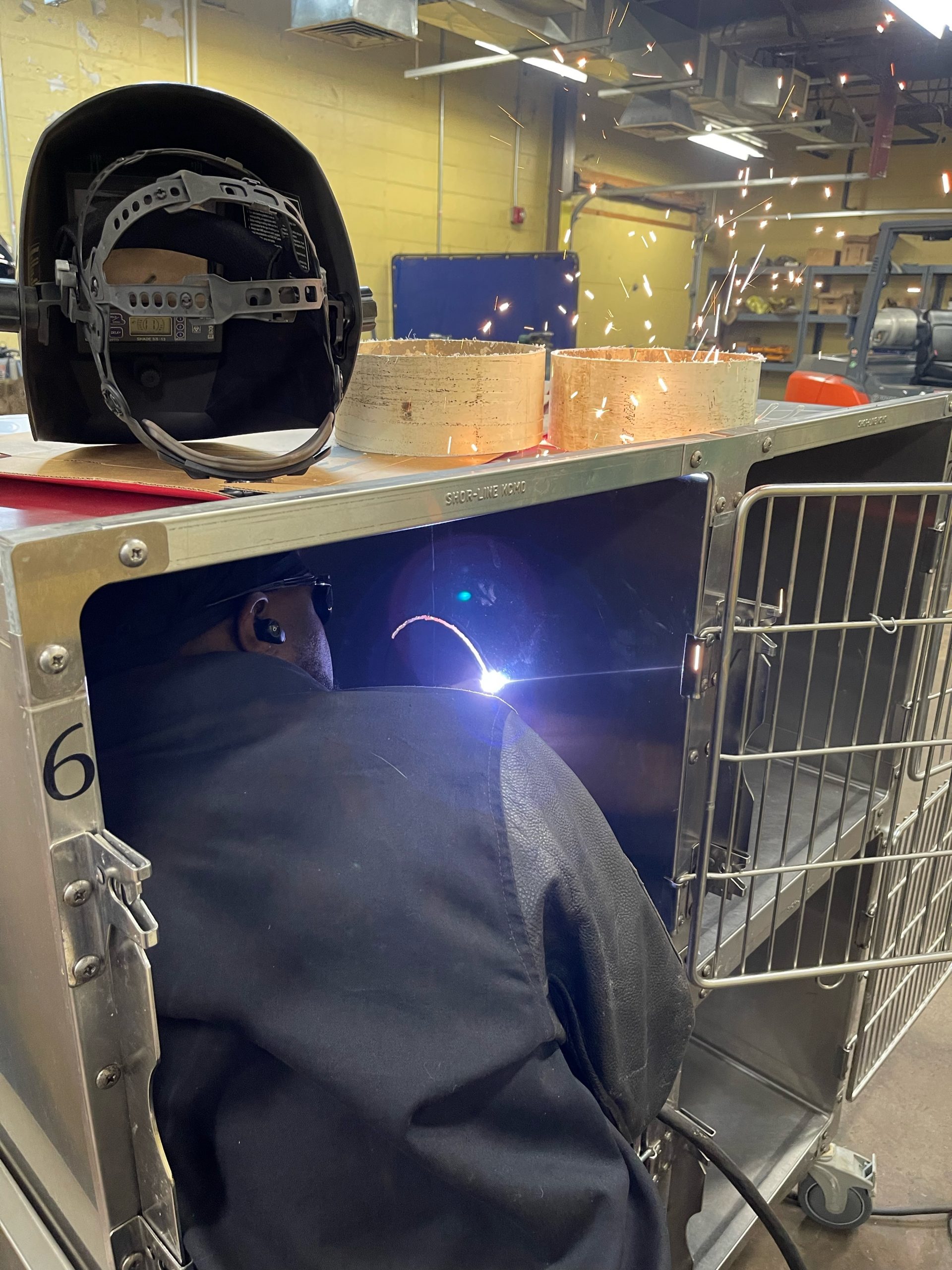 Three Rivers students modify cat cages for local no-kill animal shelter ...