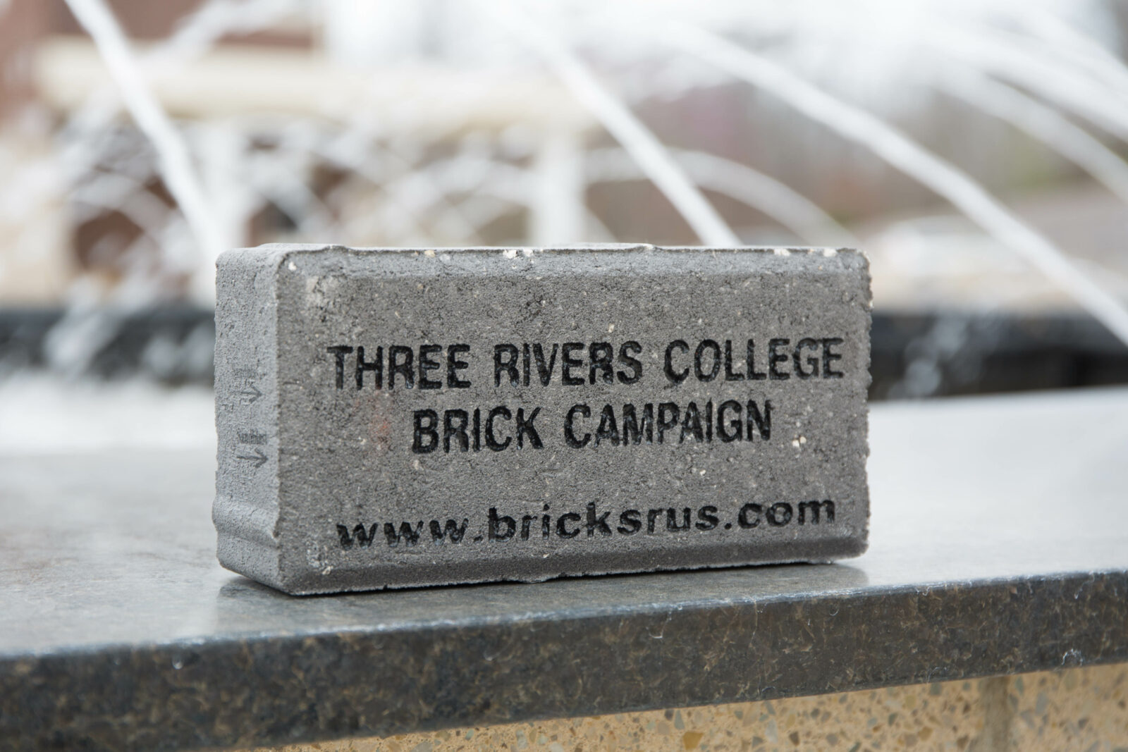 Gene Bess Statue Brick Walk - Three Rivers College